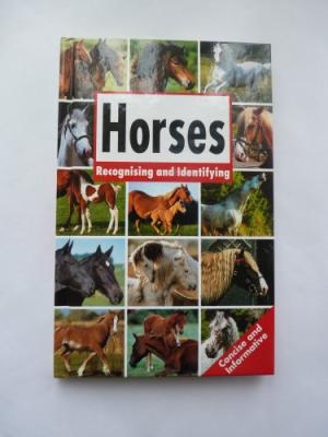 Horses - Recognising And Identifying – Global Books
